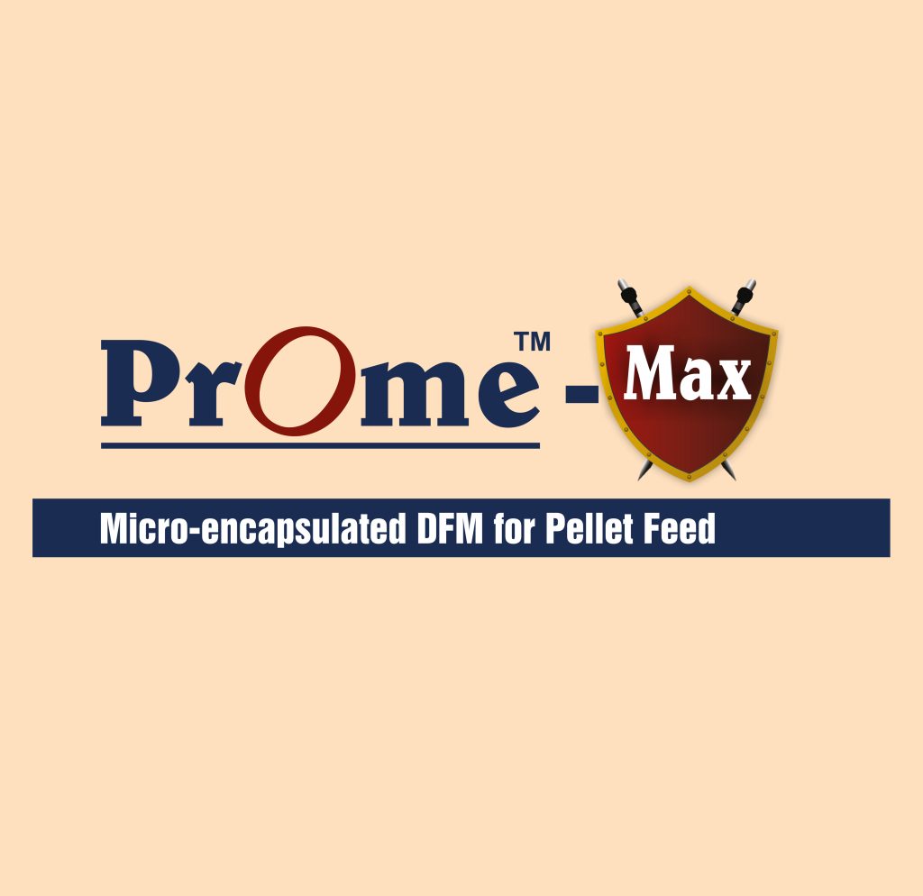 Probiotics for Poultry Pellet Feed | Sanzyme Biologics