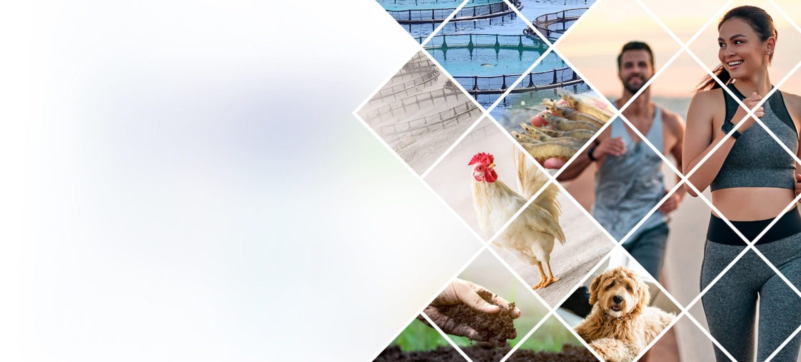 Sanzyme Biologics: Leading Probiotic Manufacturer Since 1969