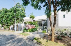 Sanzyme Biologics - Expert in Spore-Forming Probiotics